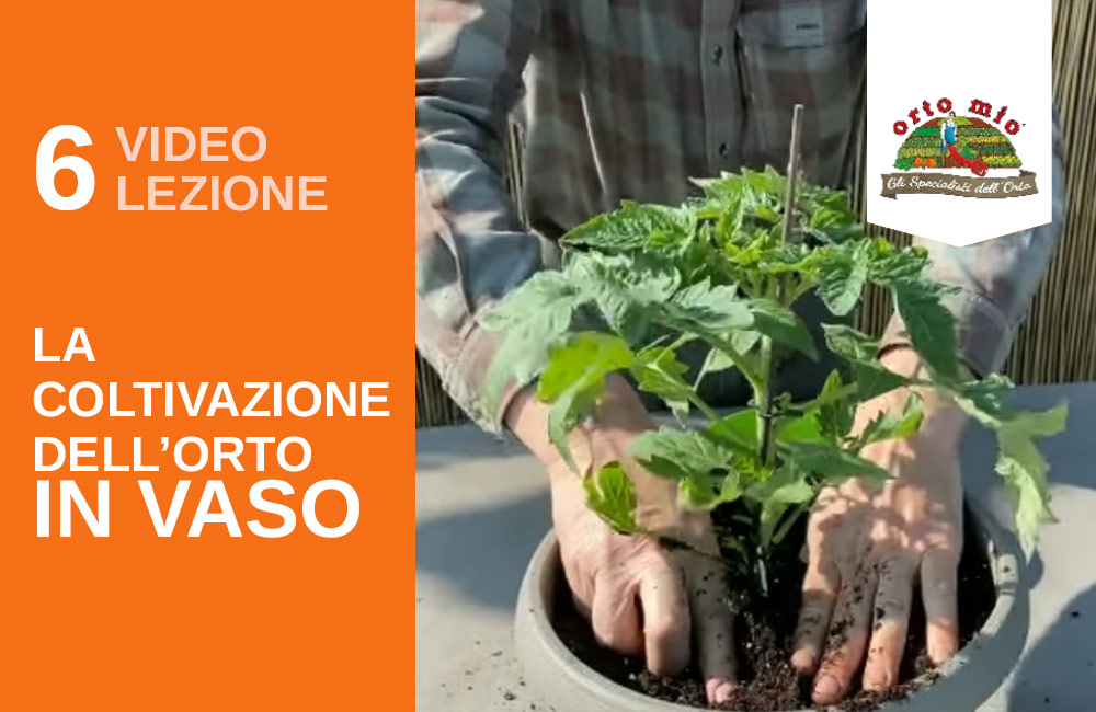 Coltivare l'orto in vaso - videolezione Ortomio - Bardin Garden Store